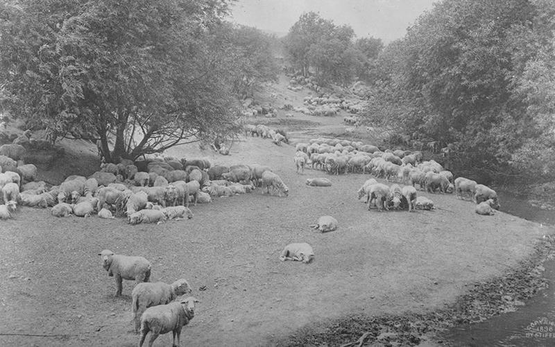 Home | Burbank In Focus